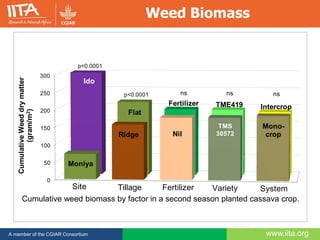 Cassava Weed Management Project Progress Presentation | PPTX