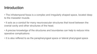 ANATOMY_INFRATEMPORAL_FOSSA for med ug .pptx
