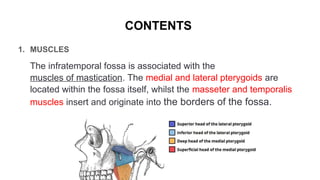 ANATOMY_INFRATEMPORAL_FOSSA for med ug .pptx