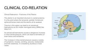 ANATOMY_INFRATEMPORAL_FOSSA for med ug .pptx