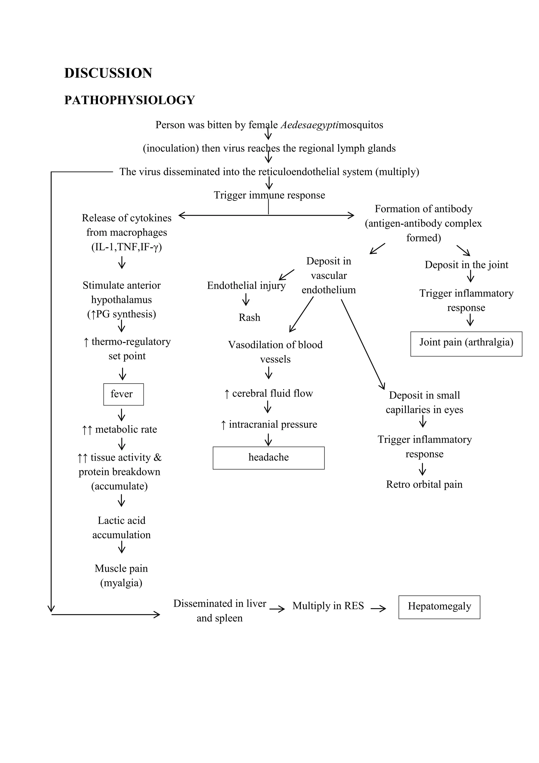 Clinical Case Write Up Sample | DOCX