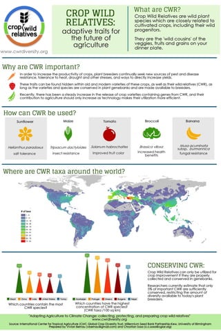Crop Wild Relatives infographic | PDF