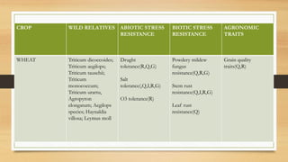 Crop wild relatives (molecular breeding and bioinformatics) .pptx