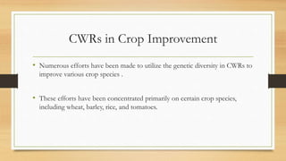 Crop wild relatives (molecular breeding and bioinformatics) .pptx