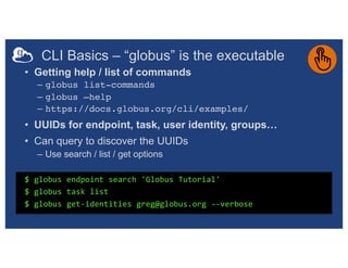 Introduction to the Command Line Interface (CLI) | PDF