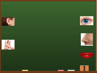 CWS022_lesson-1-Imagery.pptx