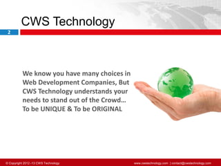 CWS Corporate Profile | PDF