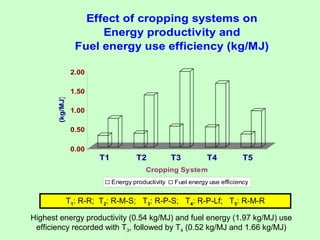 Diversification of rice-based cropping system and their impact on ...