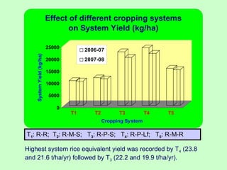 Diversification of rice-based cropping system and their impact on ...