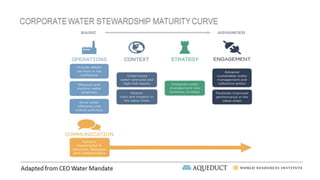 Corporate Water Stewardship: Global Perspectives Across the Maturity ...