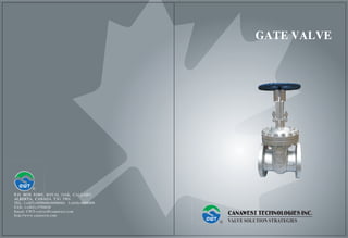 CWT Gate Valve | PDF | Civil Engineering Industry | Industries