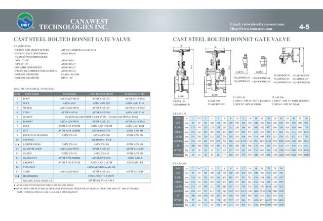 CWT Gate Valve | PPT