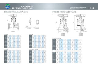 CWT Gate Valve | PDF | Civil Engineering Industry | Industries