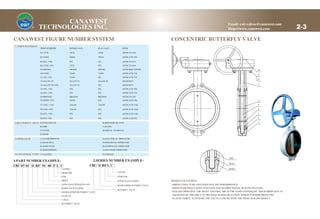 CWT Butterfly Valve | PPT