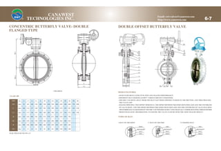 CWT Butterfly Valve | PPT