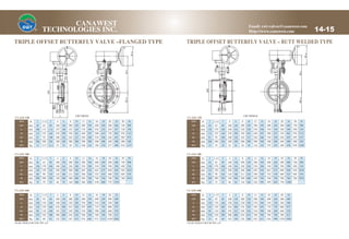 CWT Butterfly Valve | PPT