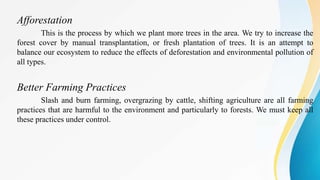 CWTS-REPORT-GROUP-2.pptx