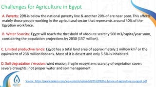 Food for the Future: Building Sustainable Networks and Unleashing the ...