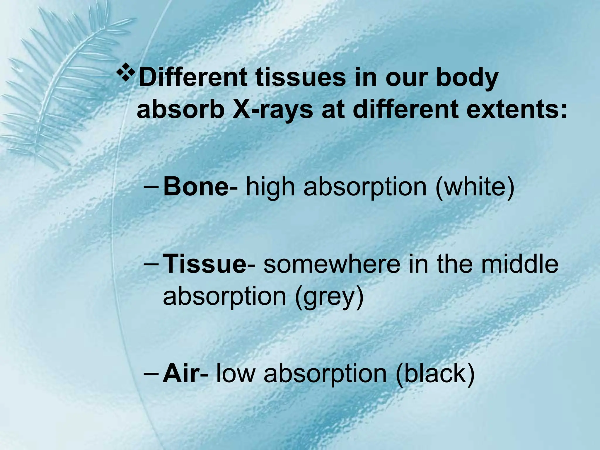 Chest X-Ray Interpretation of the human body | PPT