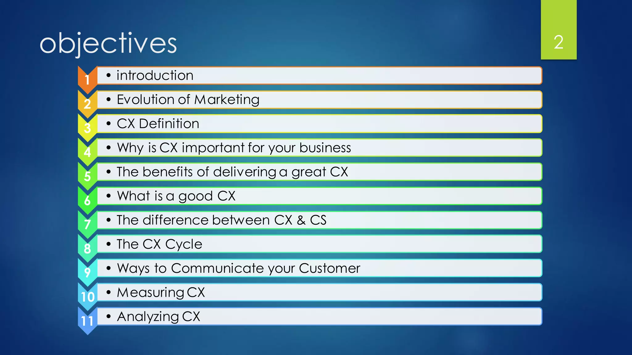 Customer Experience (CX) | PDF