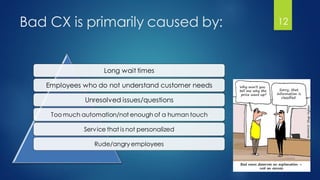 Customer Experience (CX) | PDF