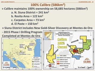 Calibre Mining Corporate Presentation | PPT