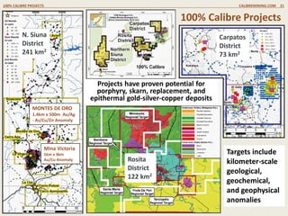 Calibre Mining Corporate Presentation | PPT