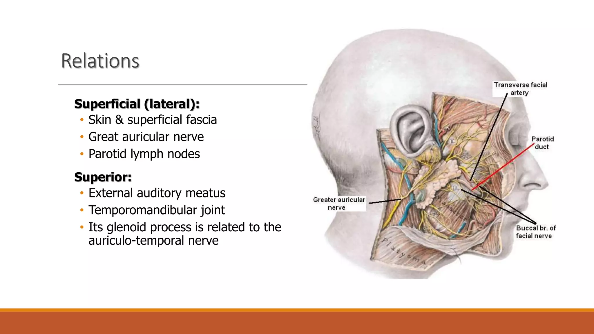 Parotidectomy | PPTX