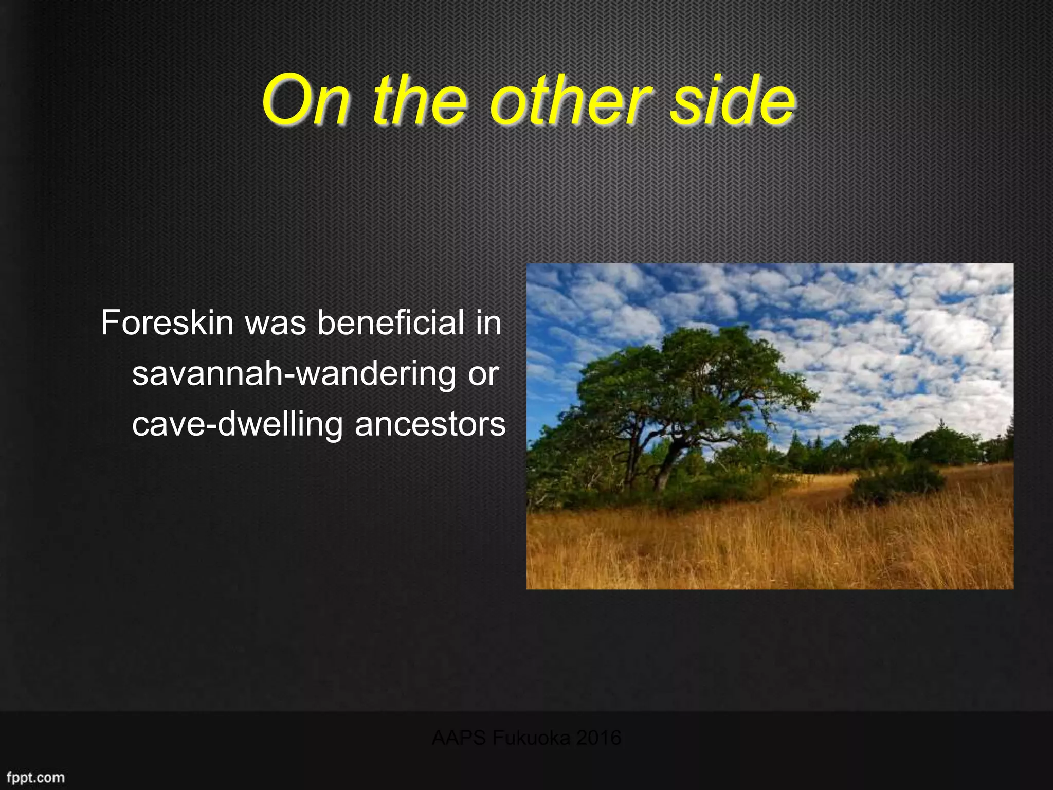History of circumcision | PPT