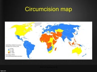 History of circumcision | PPT