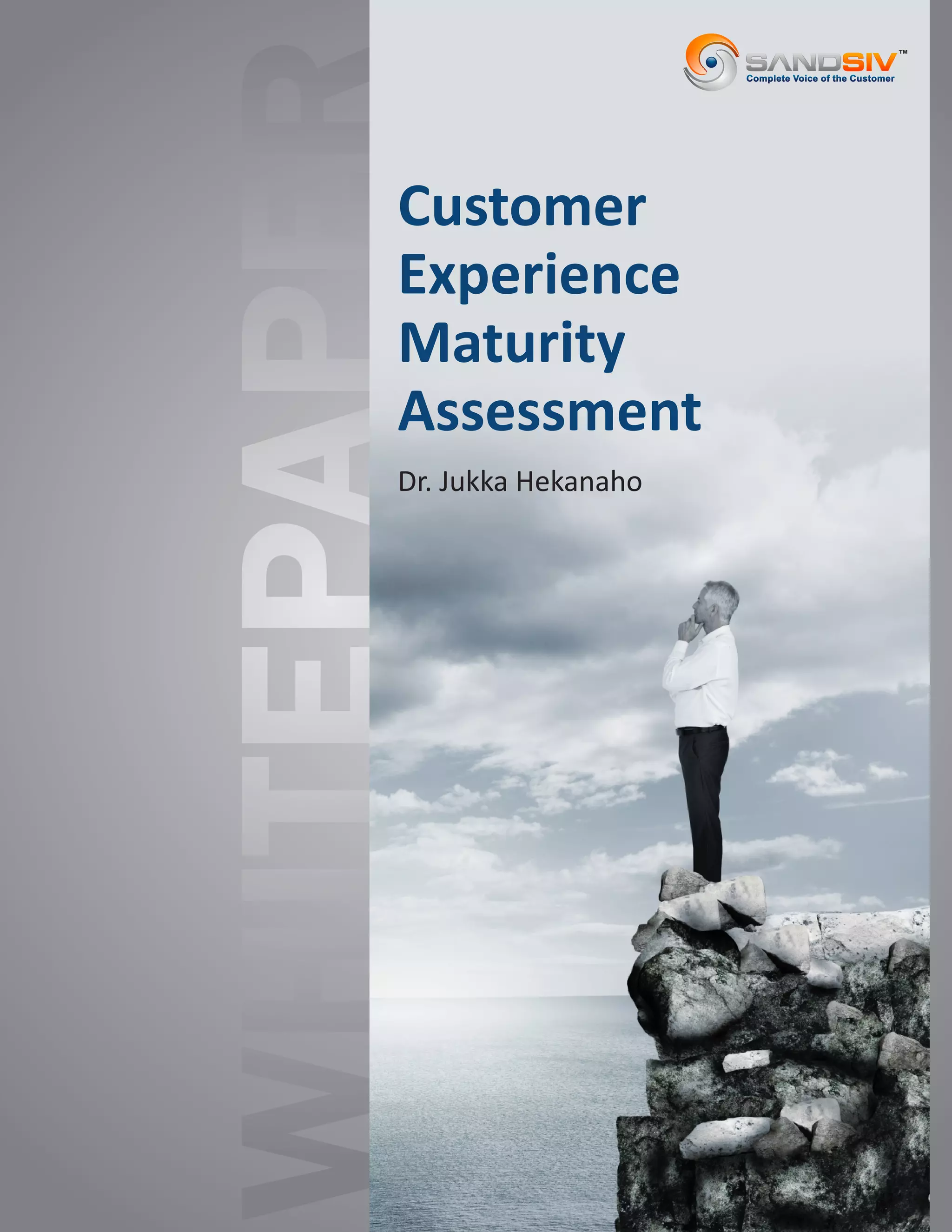 Customer Experience Maturity Assessment | PDF