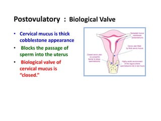 Cervical Mucus presented by Dr. Jyoti Agarwal / Dr. Sharda Jain | PPTX