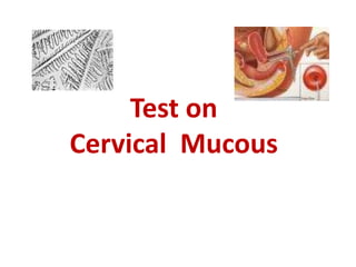 Cervical Mucus presented by Dr. Jyoti Agarwal / Dr. Sharda Jain | PPTX
