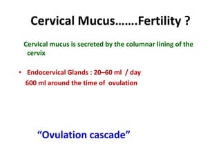 Cervical Mucus presented by Dr. Jyoti Agarwal / Dr. Sharda Jain | PPTX