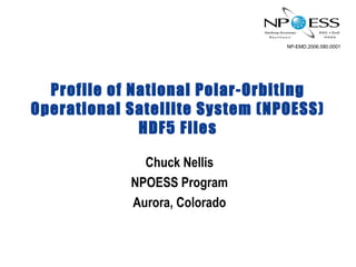 Profile of NPOESS HDF5 Files | PPT