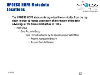 Profile of NPOESS HDF5 Files | PPT