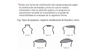 cx pedia.pptx
