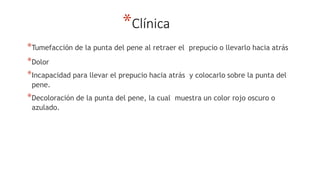 cx pedia.pptx