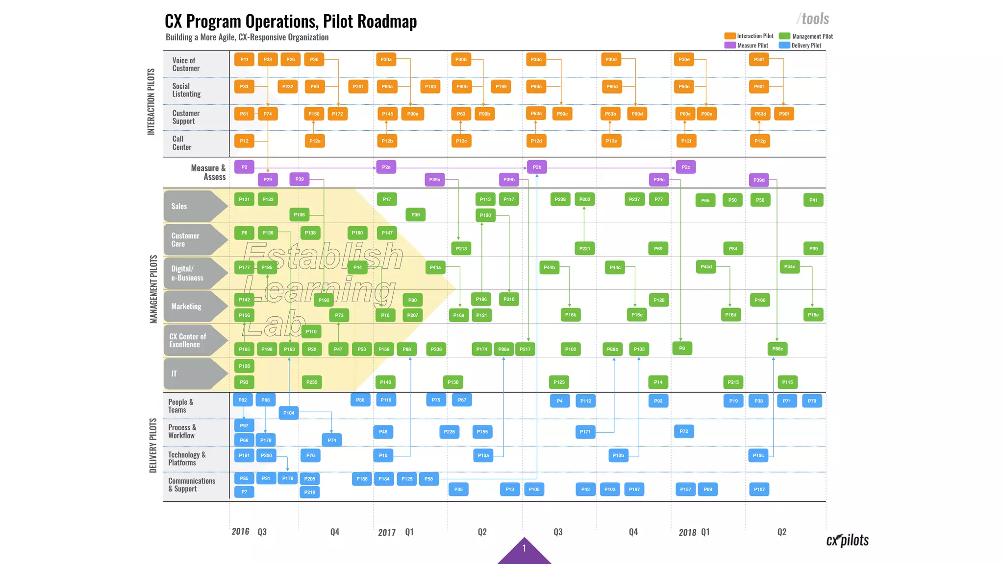 Cx Pilots Modular CX Deployment Roadmap | PDF | Genetics | Science