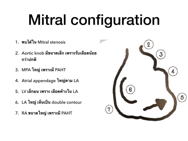 Chest film in cardiovascular system | PPT