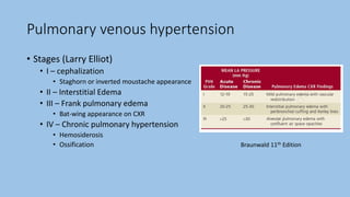 CXR Presentation.pptx
