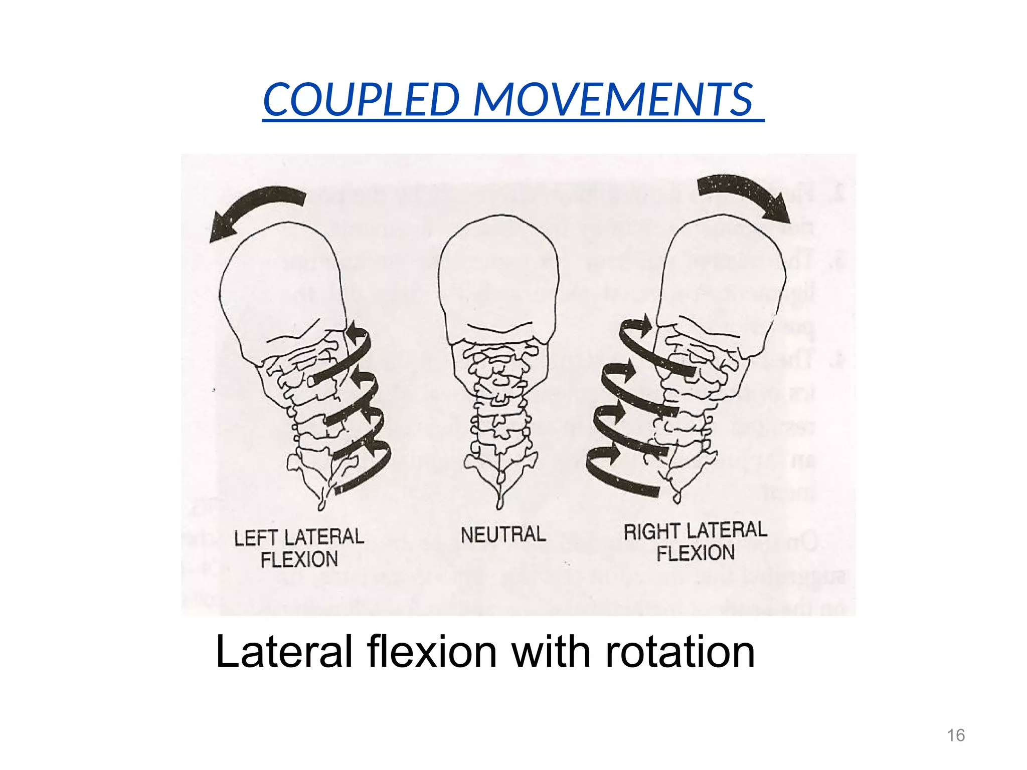 Cervical spine: anatomy, biomechanics and pathomechanics | PDF