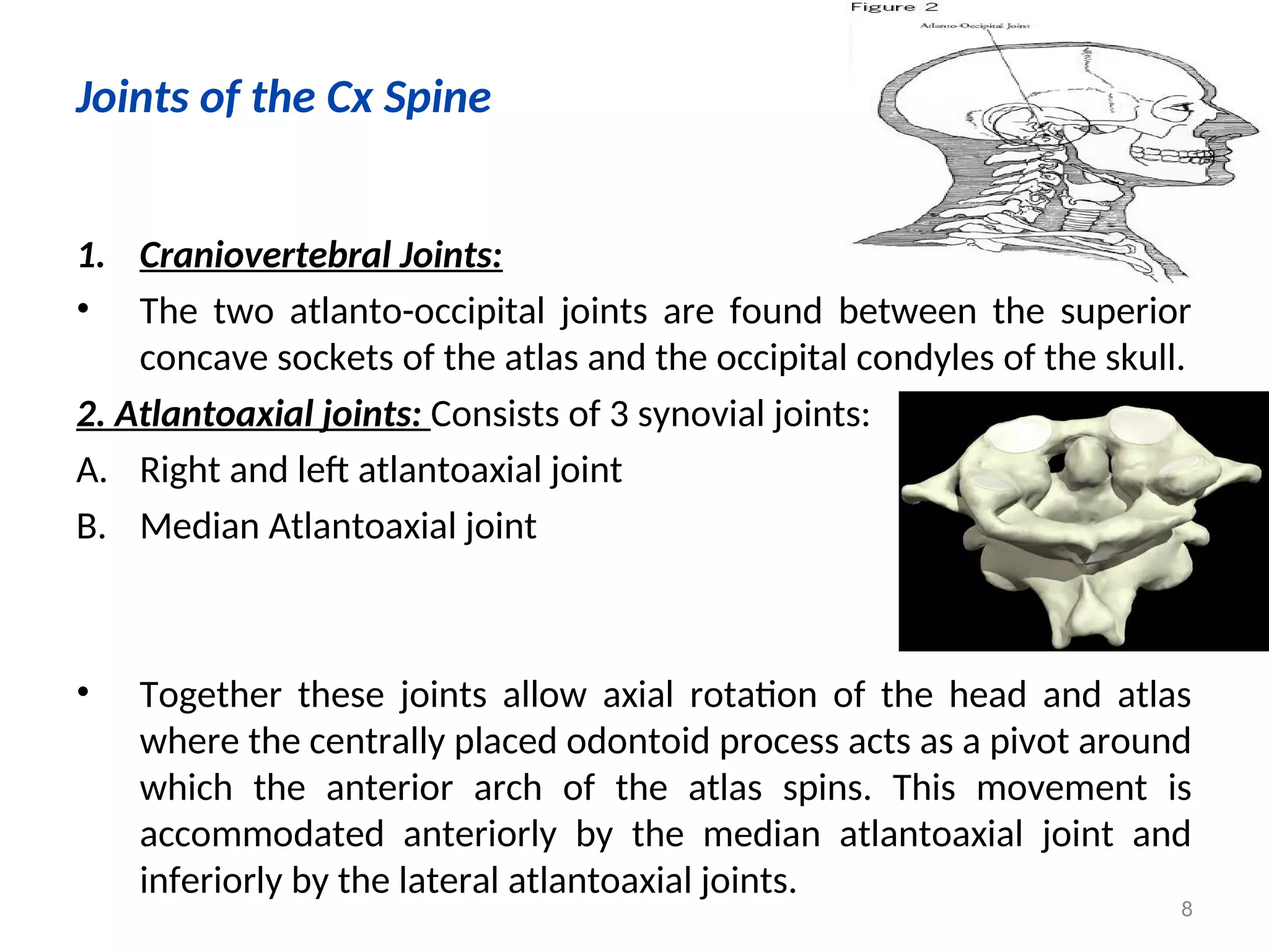 Cervical spine: anatomy, biomechanics and pathomechanics | PDF