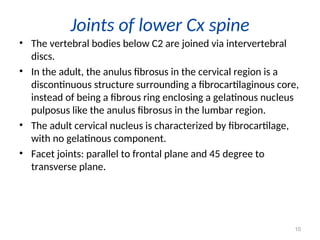 Cervical spine: anatomy, biomechanics and pathomechanics | PDF