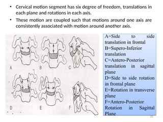 Cervical spine: anatomy, biomechanics and pathomechanics | PDF