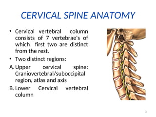 Cervical spine: anatomy, biomechanics and pathomechanics | PDF