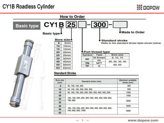 CY1B Magnetically Coupled Roadless Cylinder Basic Type | PPT