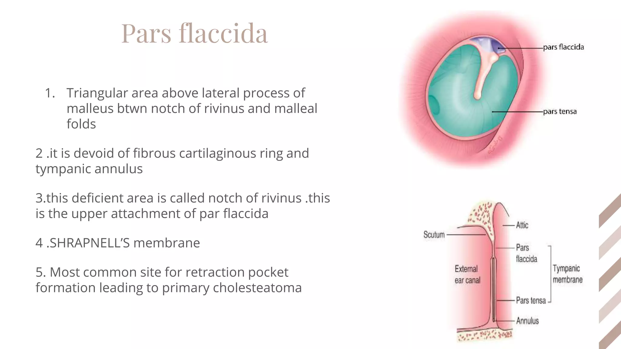 Tympanic membrane | PPTX