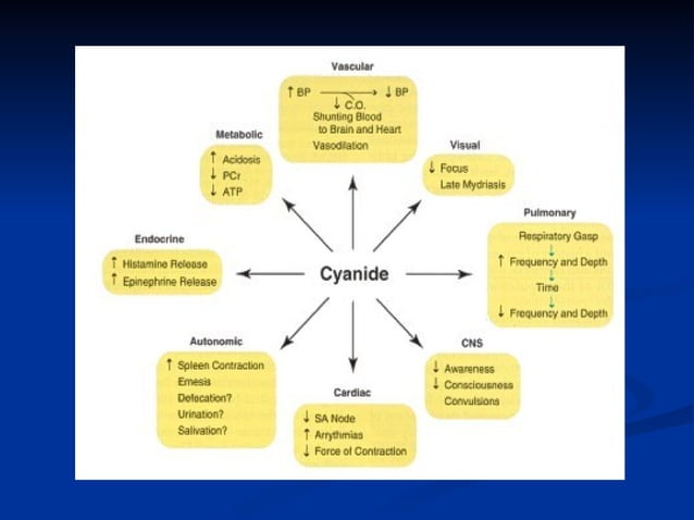 Cyanide Poisoning | PPT | Blood Disorders | Diseases and Conditions