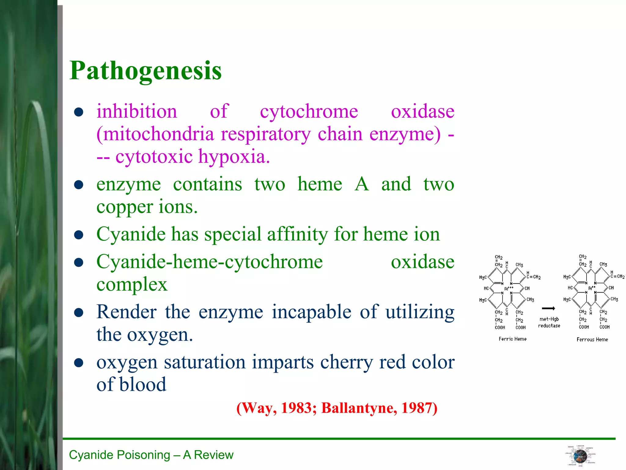 Cyanide Poisoning in Livestock; Sorghum Poisoning | PPT